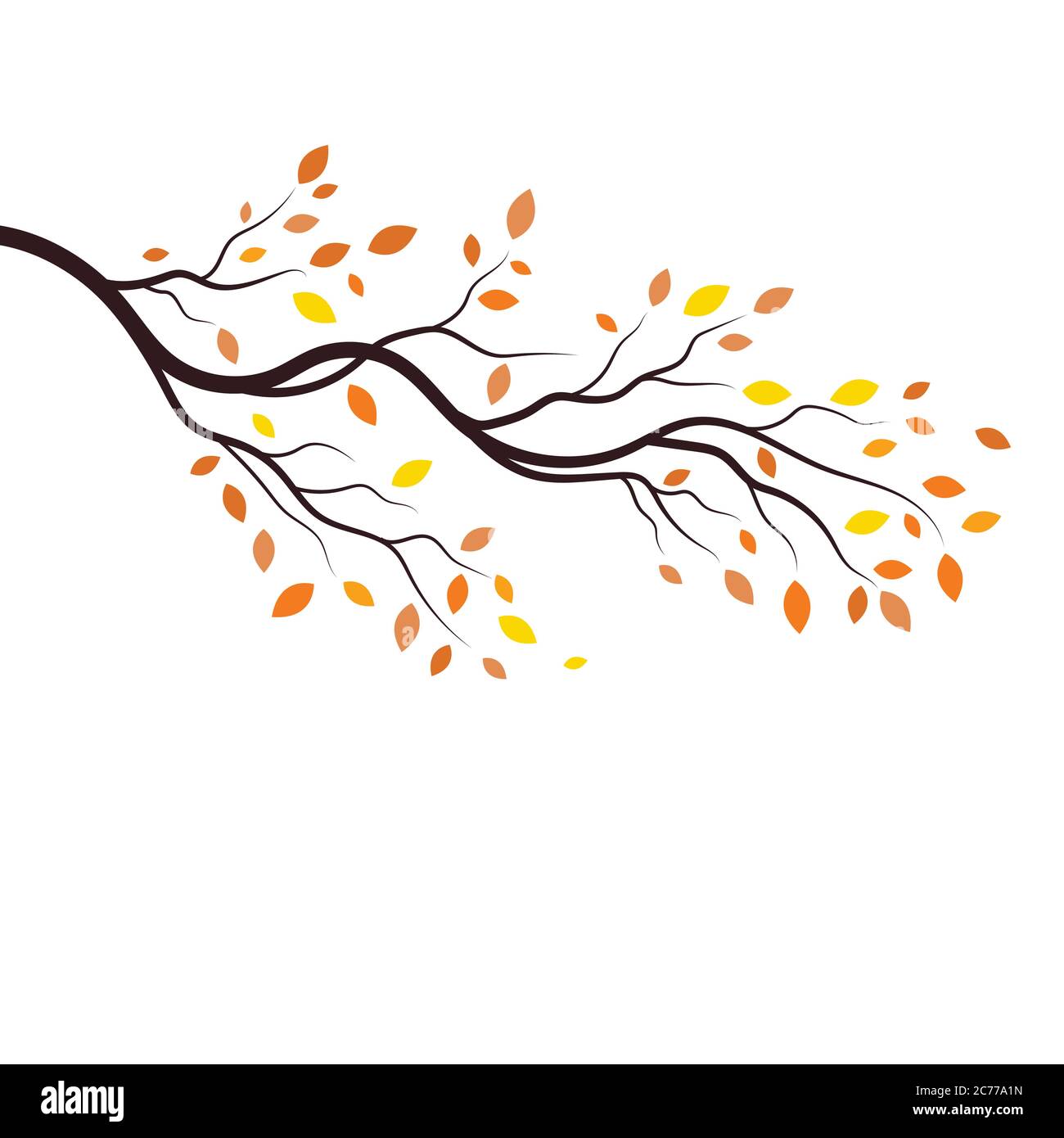 tree branch vector illustration design template Stock Vector Image ...