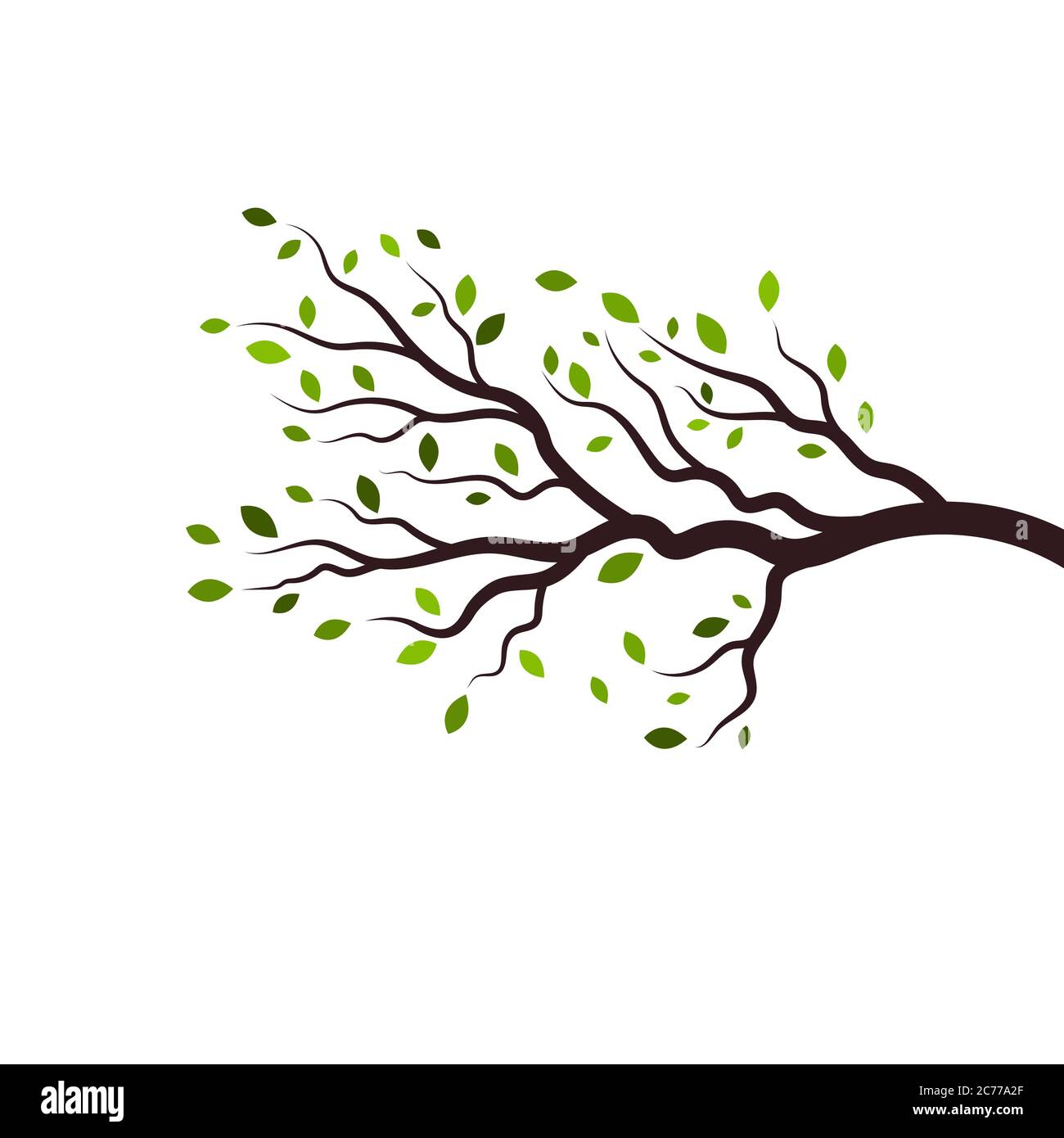 tree branch vector illustration design template Stock Vector Image ...