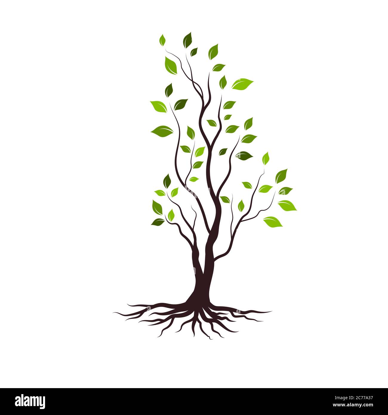 tree branch vector illustration design template Stock Vector Image ...