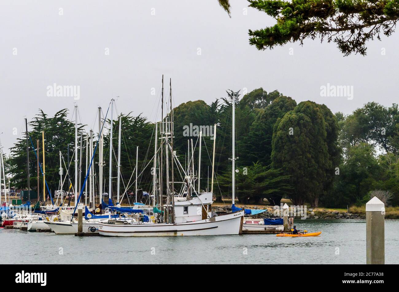 Boats docked in the harbor in Eureka California USA Stock Photo - Alamy