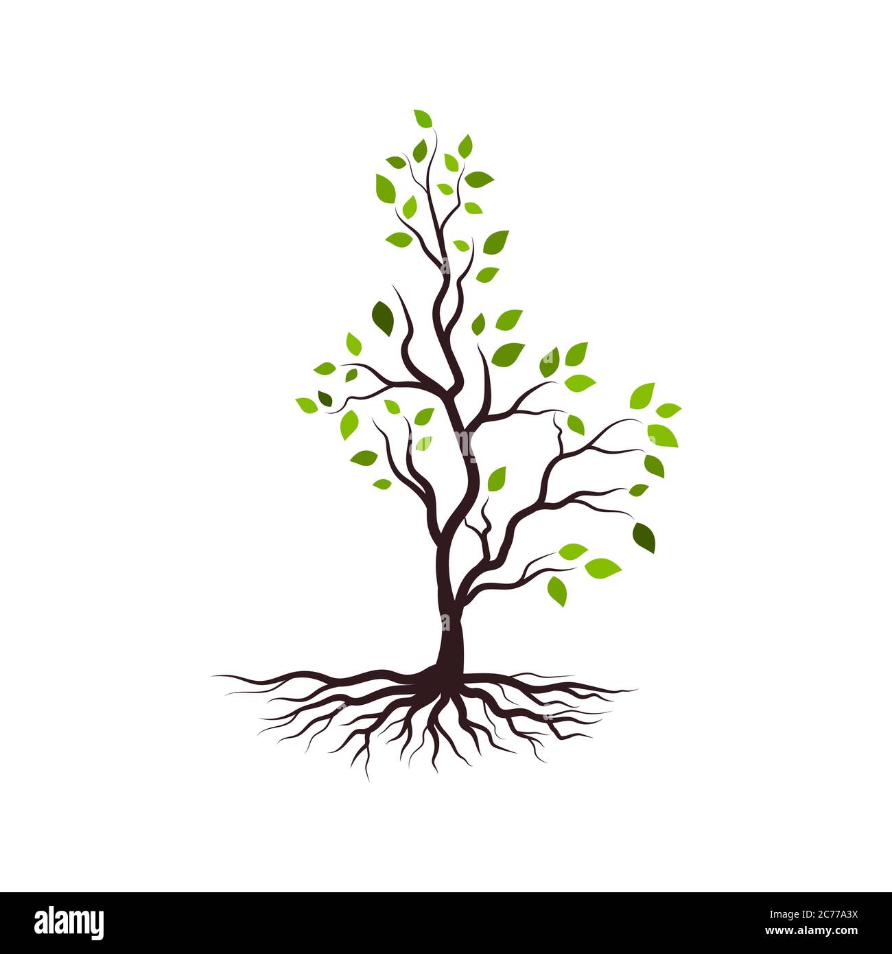 tree branch vector illustration design template Stock Vector Image ...