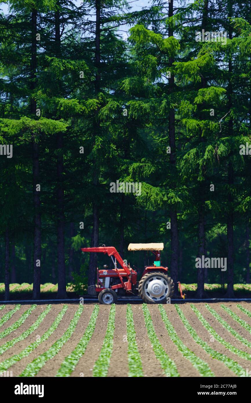Tractor in Field Stock Photo - Alamy