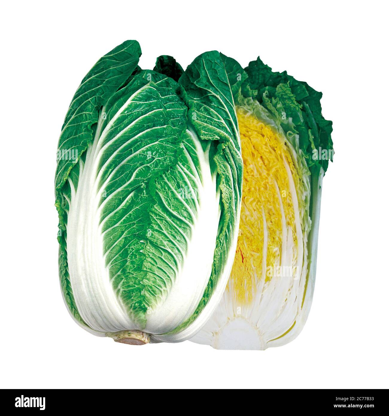 Chinese cabbage isolated on white background Stock Photo - Alamy