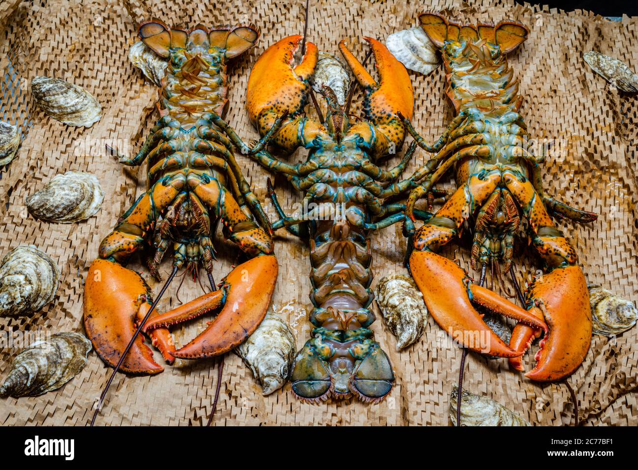 Marine lobster hi-res stock photography and images - Alamy