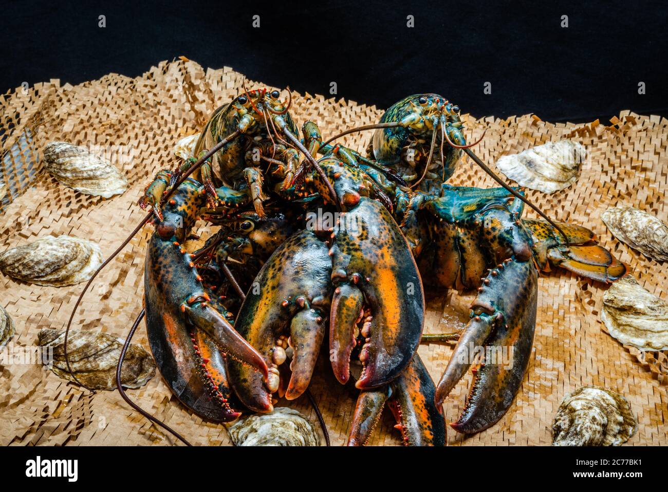 Lobster in the fishing net Stock Photo - Alamy