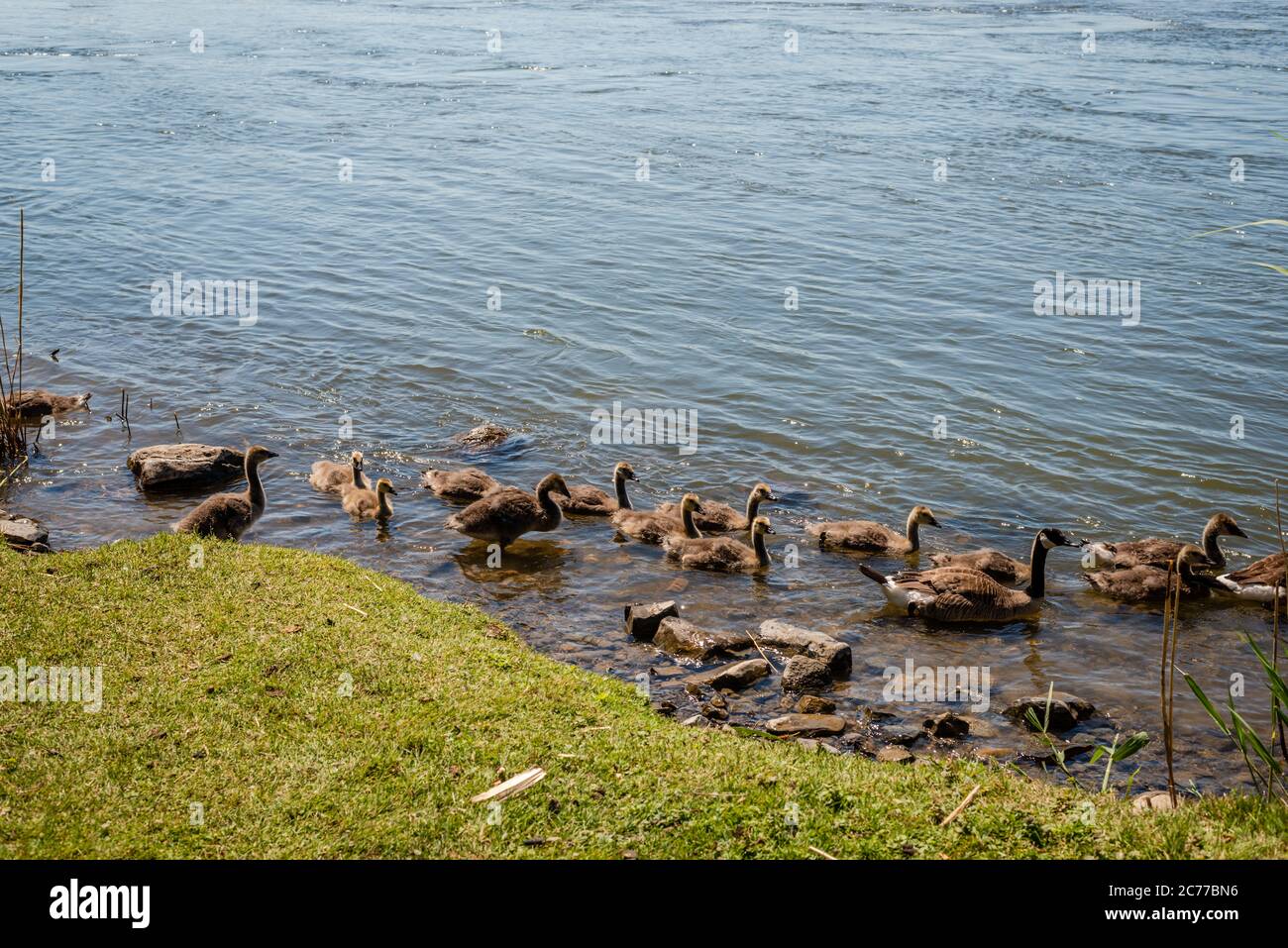 Springtime activities hi-res stock photography and images - Alamy