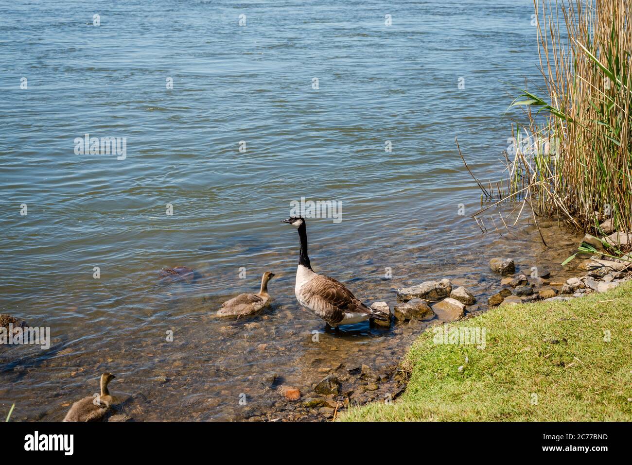 Springtime activities hi-res stock photography and images - Alamy