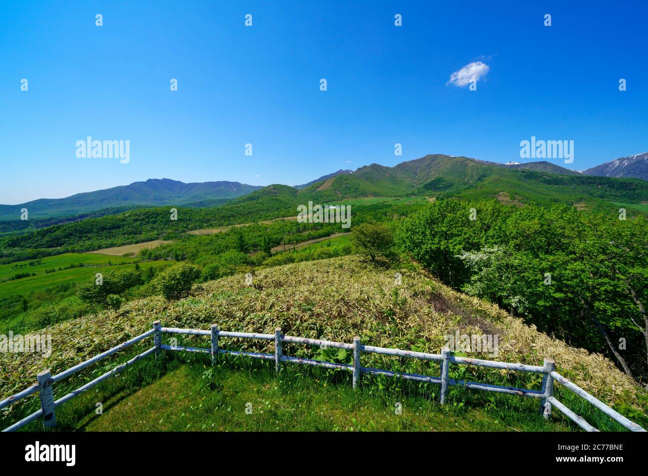 Maruyama cho hi-res stock photography and images - Alamy
