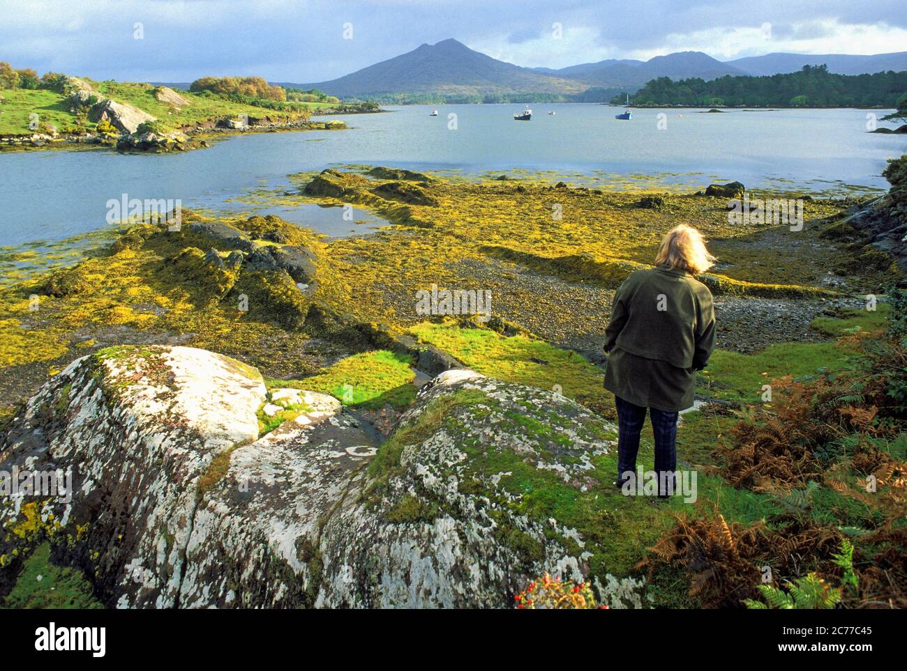 Inlet of the Kenmare River near Ardgroom on the Ring of Beara, County ...