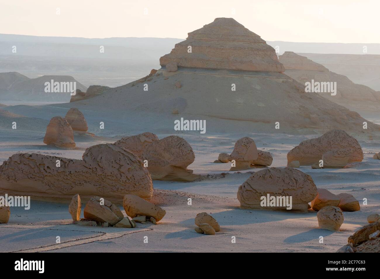 Desert landforms formed by wind erosion at Wadi El Hitan, Valley of the ...