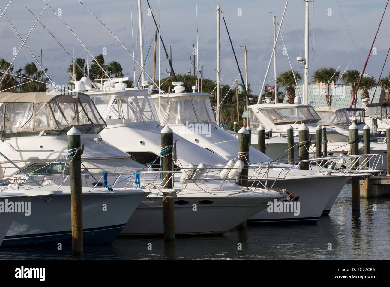 Boats in a Marina, Florida Stock Photo - Alamy