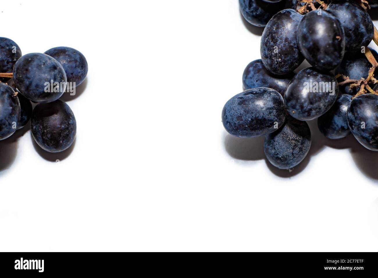 Ripe freshly picked dark grapes Isolated on a white background. Frame ...