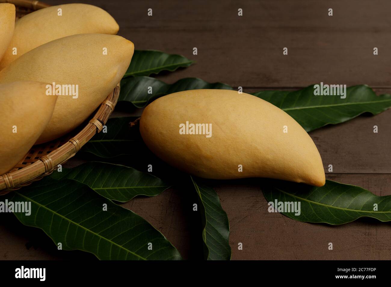 Yellow Fresh mangos on real wood table. Mango tropical fruit on wood ...