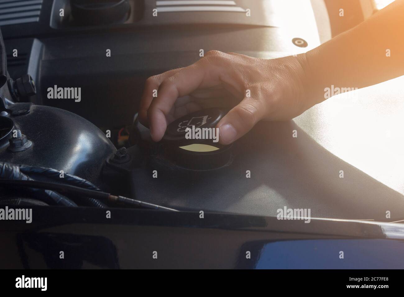 Car repair service, Hand man checking water level Stock Photo - Alamy