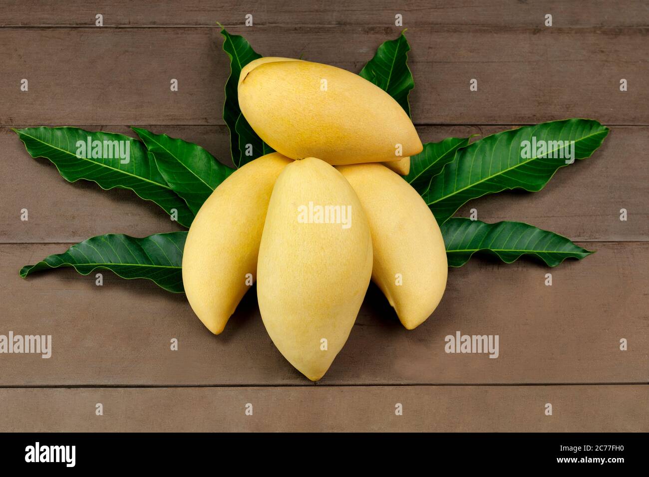 Real mango hi-res stock photography and images - Alamy