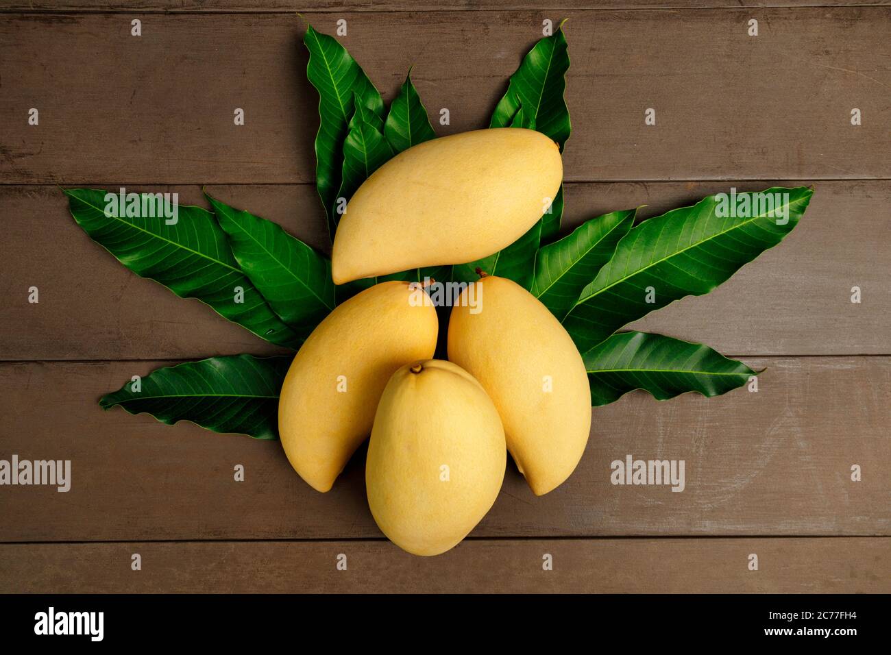 Top view Yellow Fresh mangos on real wood table. Mango tropical fruit ...