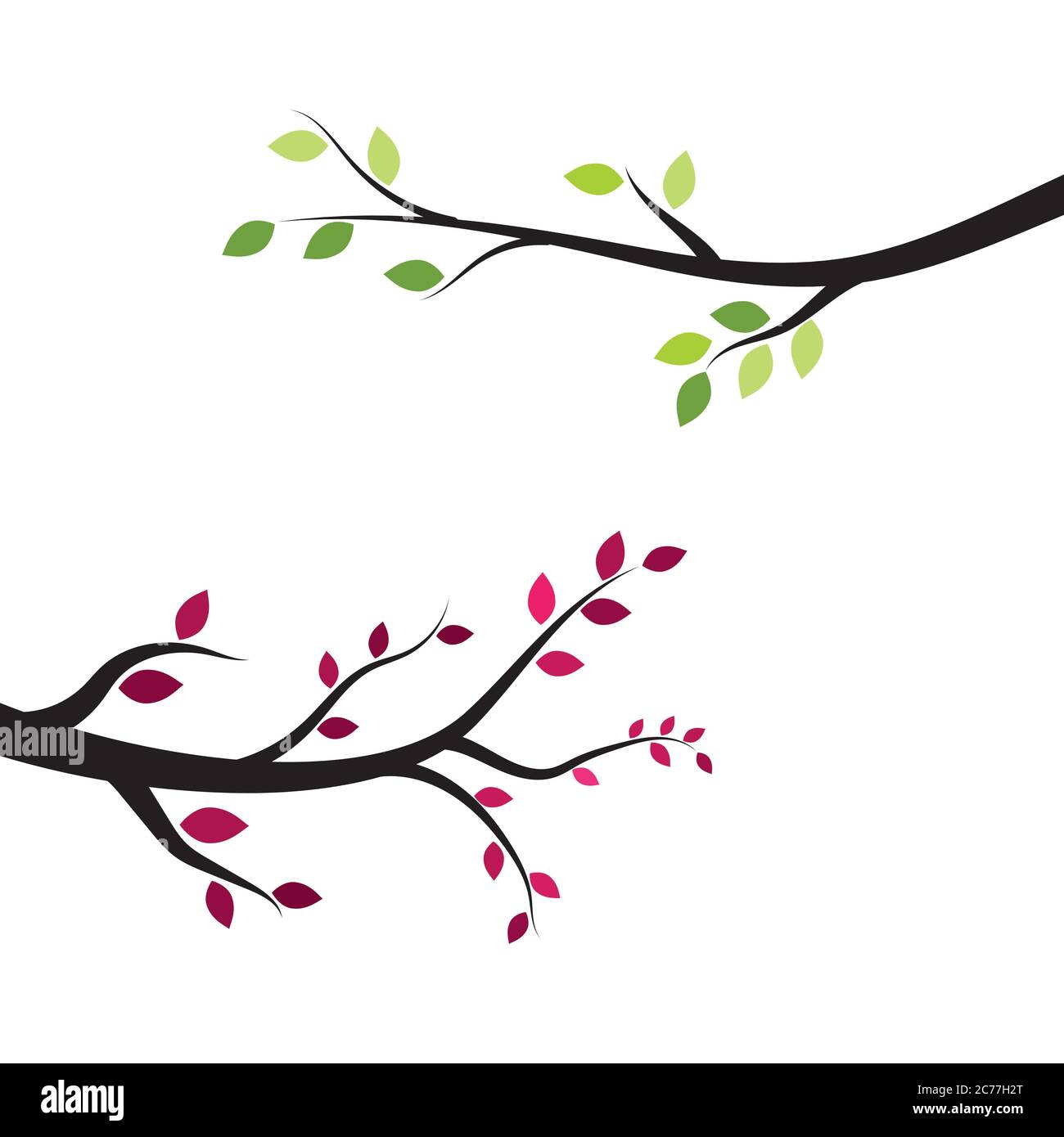 tree branch vector illustration design template Stock Vector Image ...