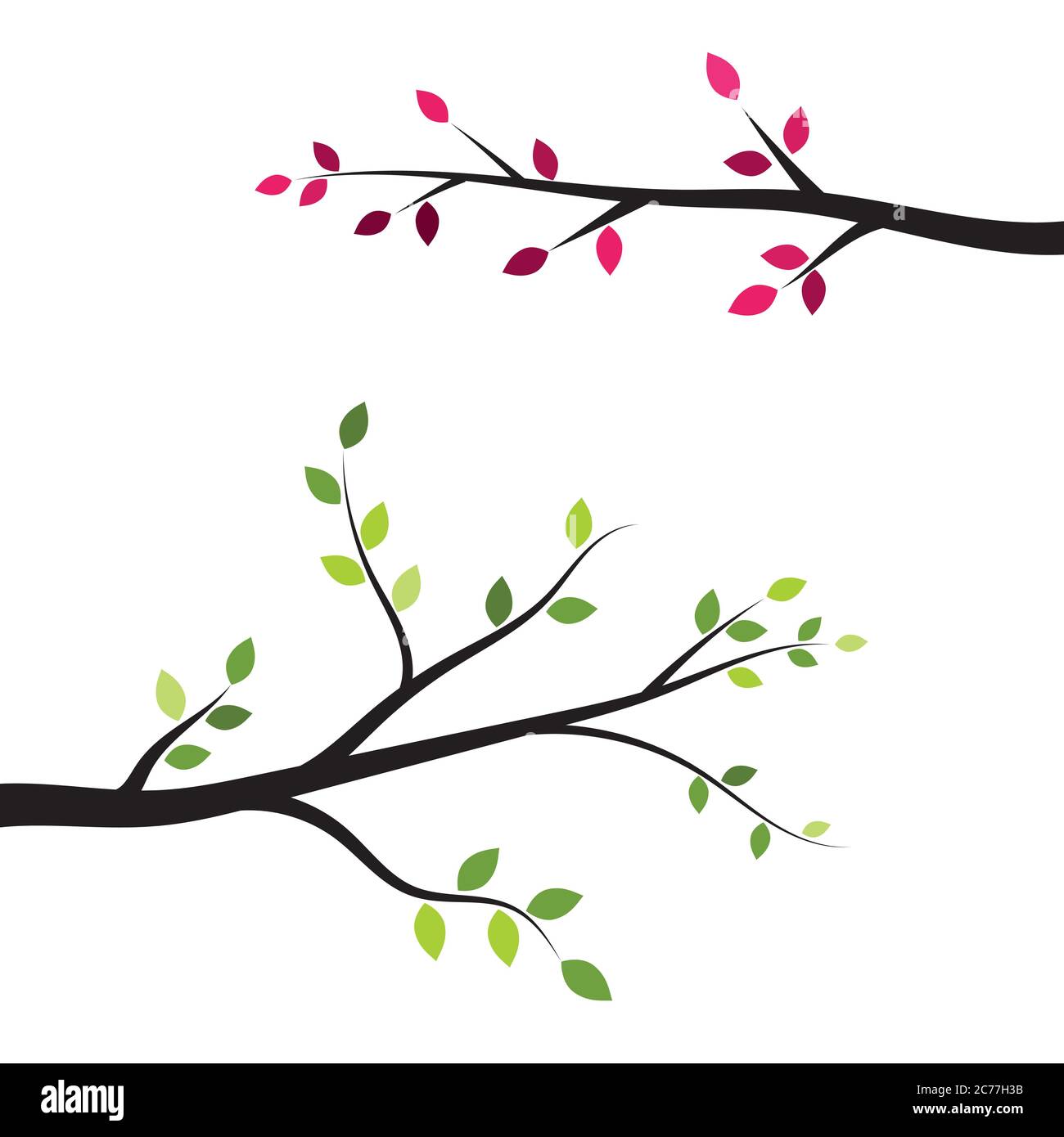 tree branch vector illustration design template Stock Vector Image ...