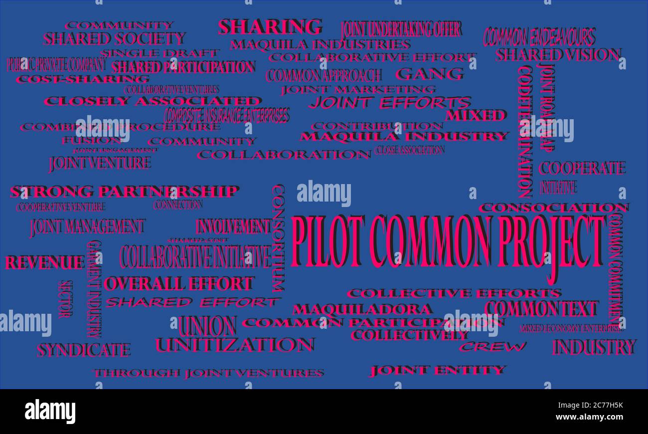 Pilot common project Business partnership related terminology presented ...