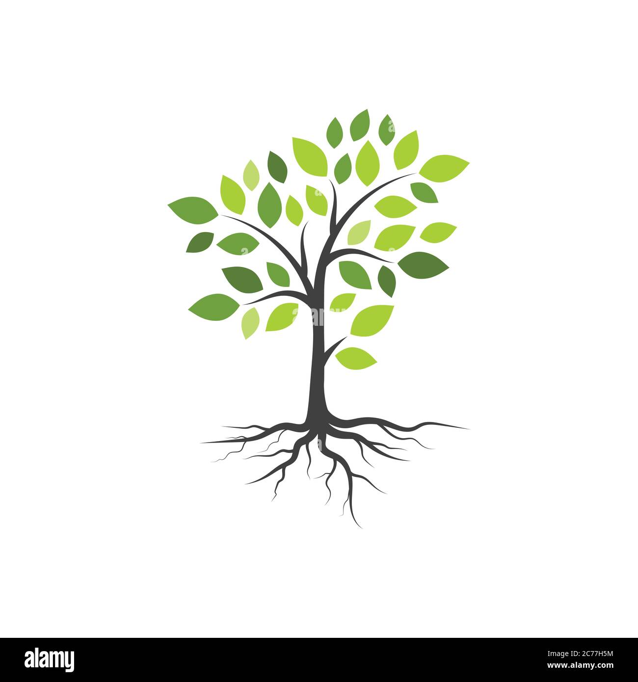 tree branch vector illustration design template Stock Vector Image ...