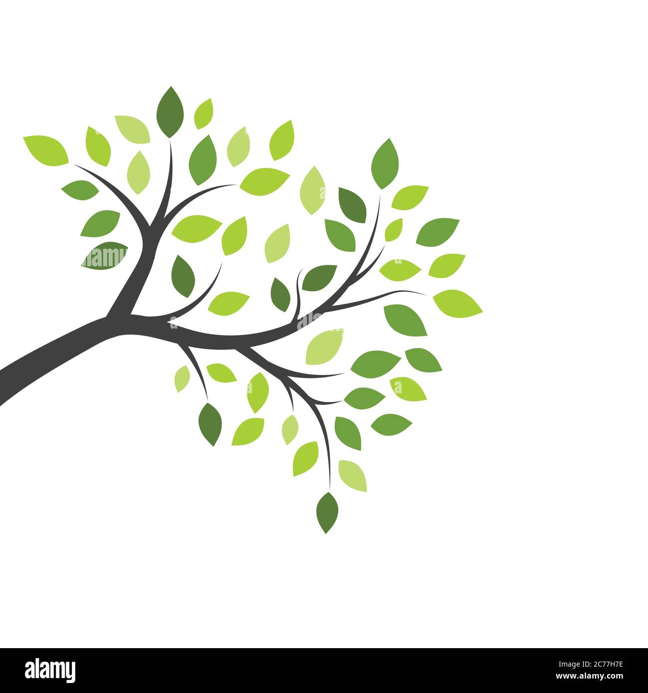 tree branch vector illustration design template Stock Vector Image ...