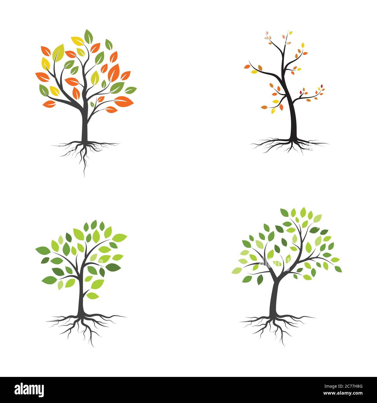 tree branch vector illustration design template Stock Vector Image ...