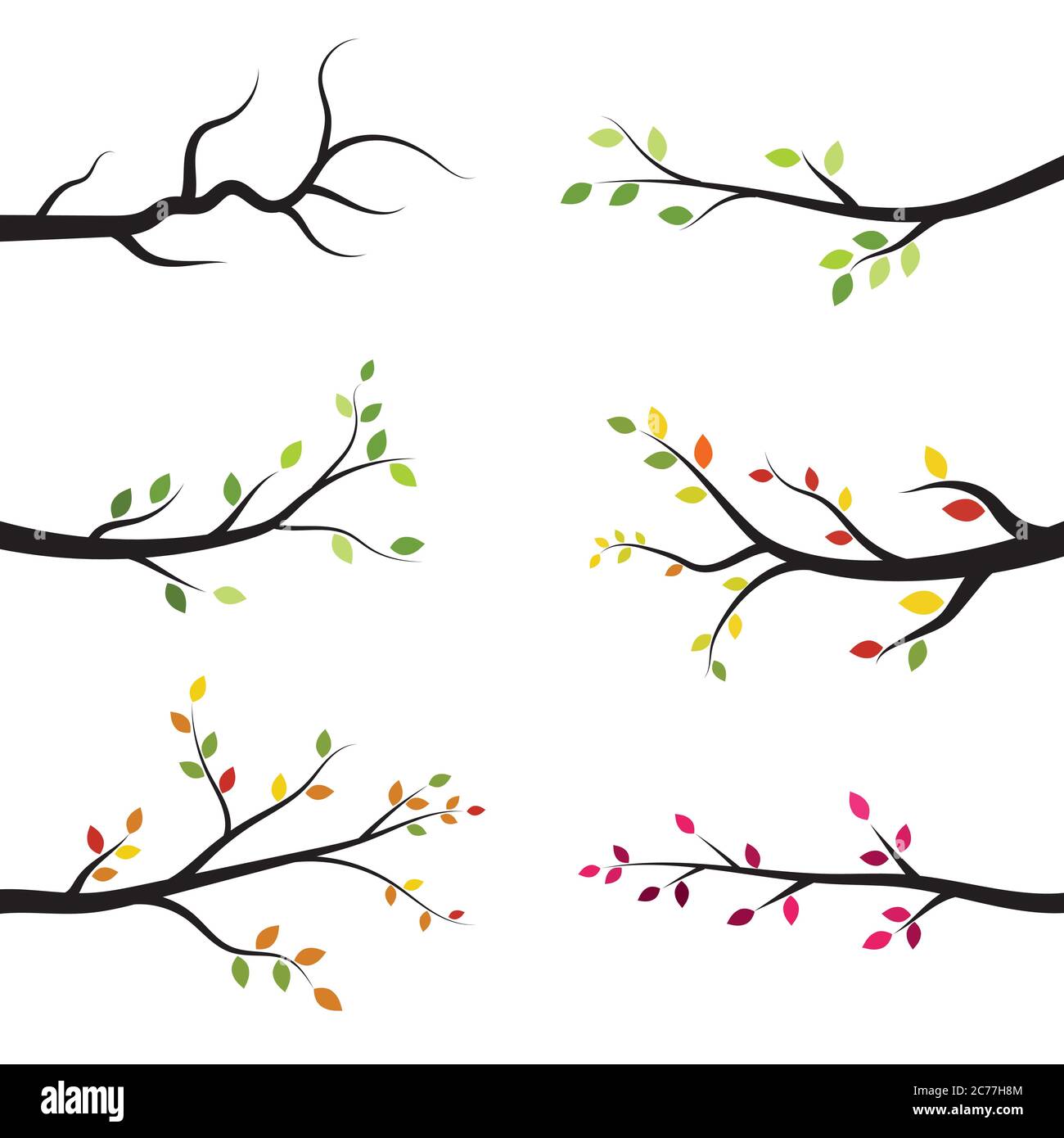 tree branch vector illustration design template Stock Vector Image ...
