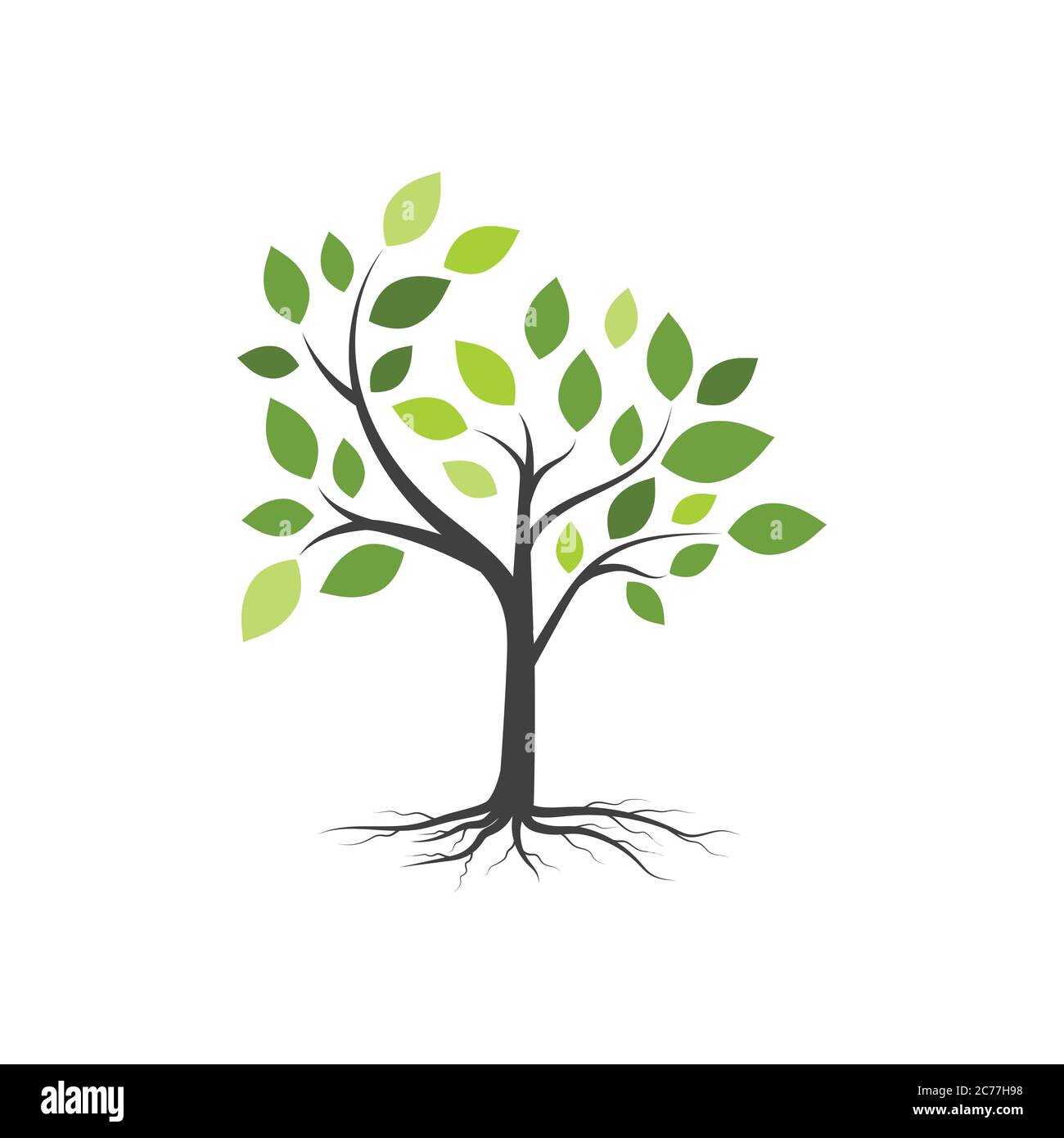 tree branch vector illustration design template Stock Vector Image ...