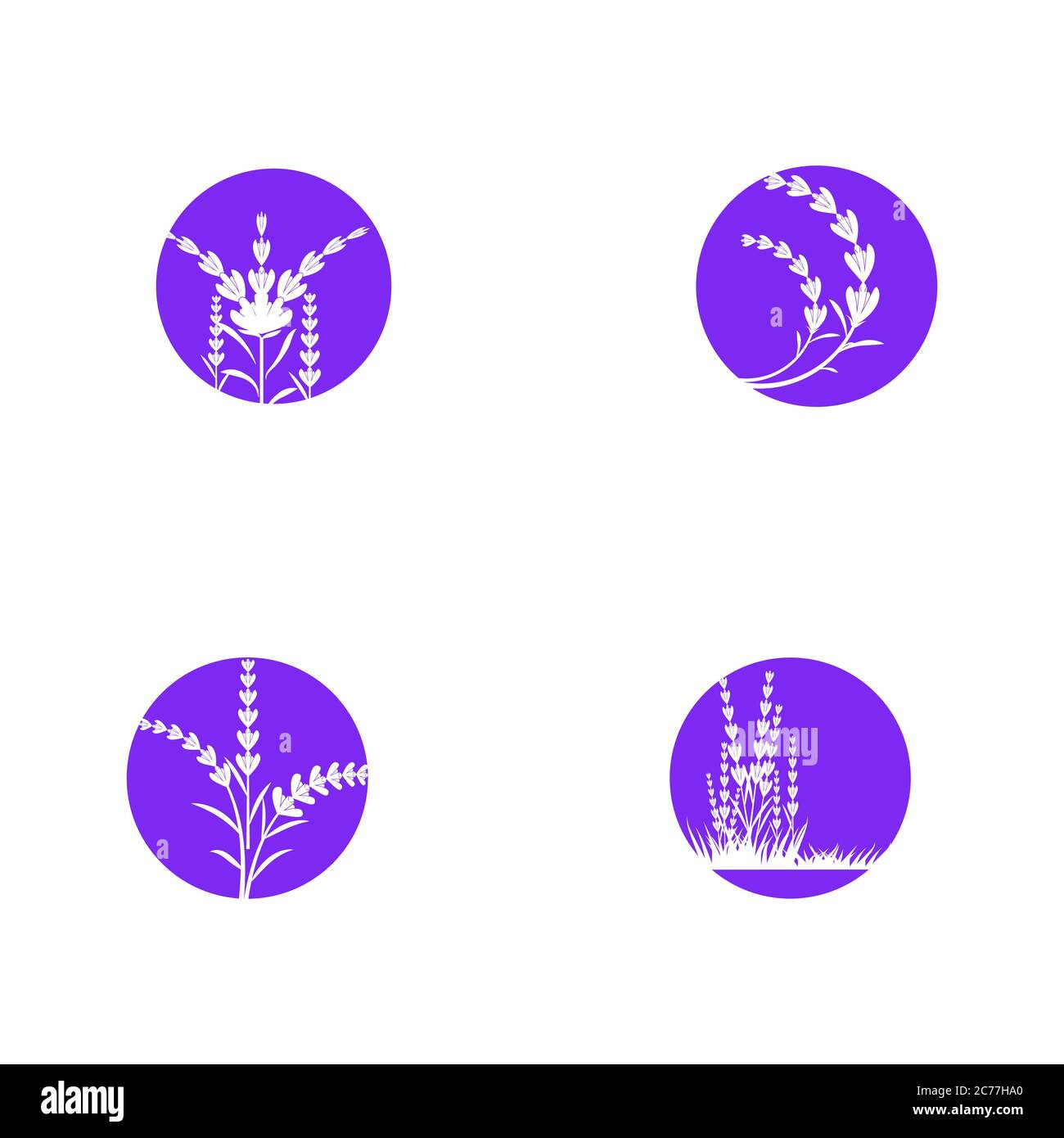 Lavender flower Vector icon illustration design Template Stock Vector ...