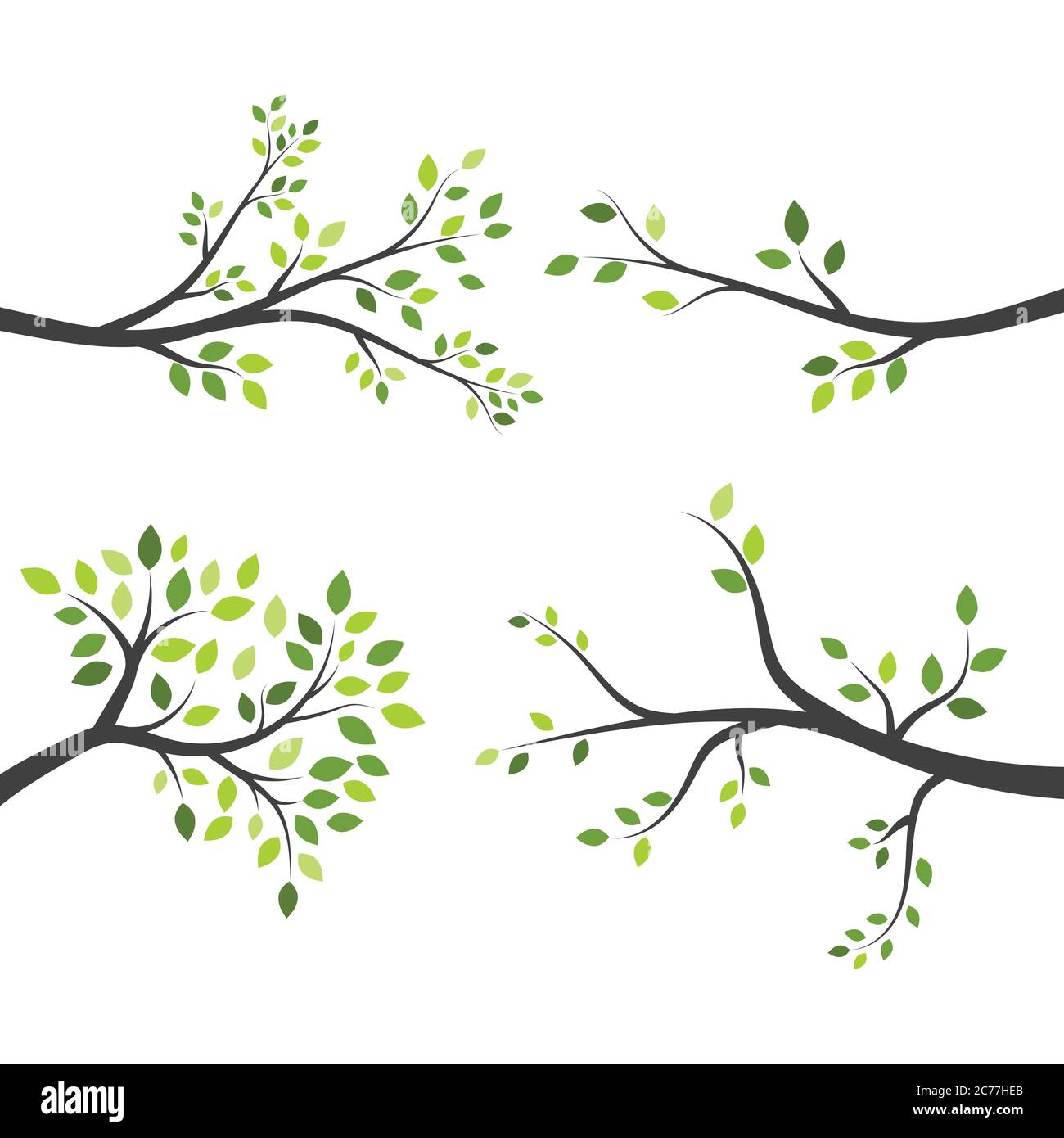 tree branch vector illustration design template Stock Vector Image ...