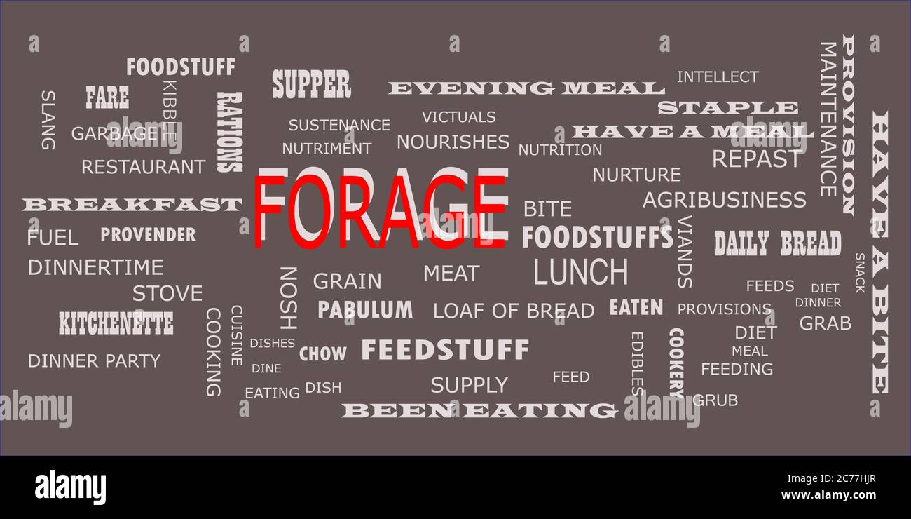 Forage a human body nutritional terminology presented with word cloud ...