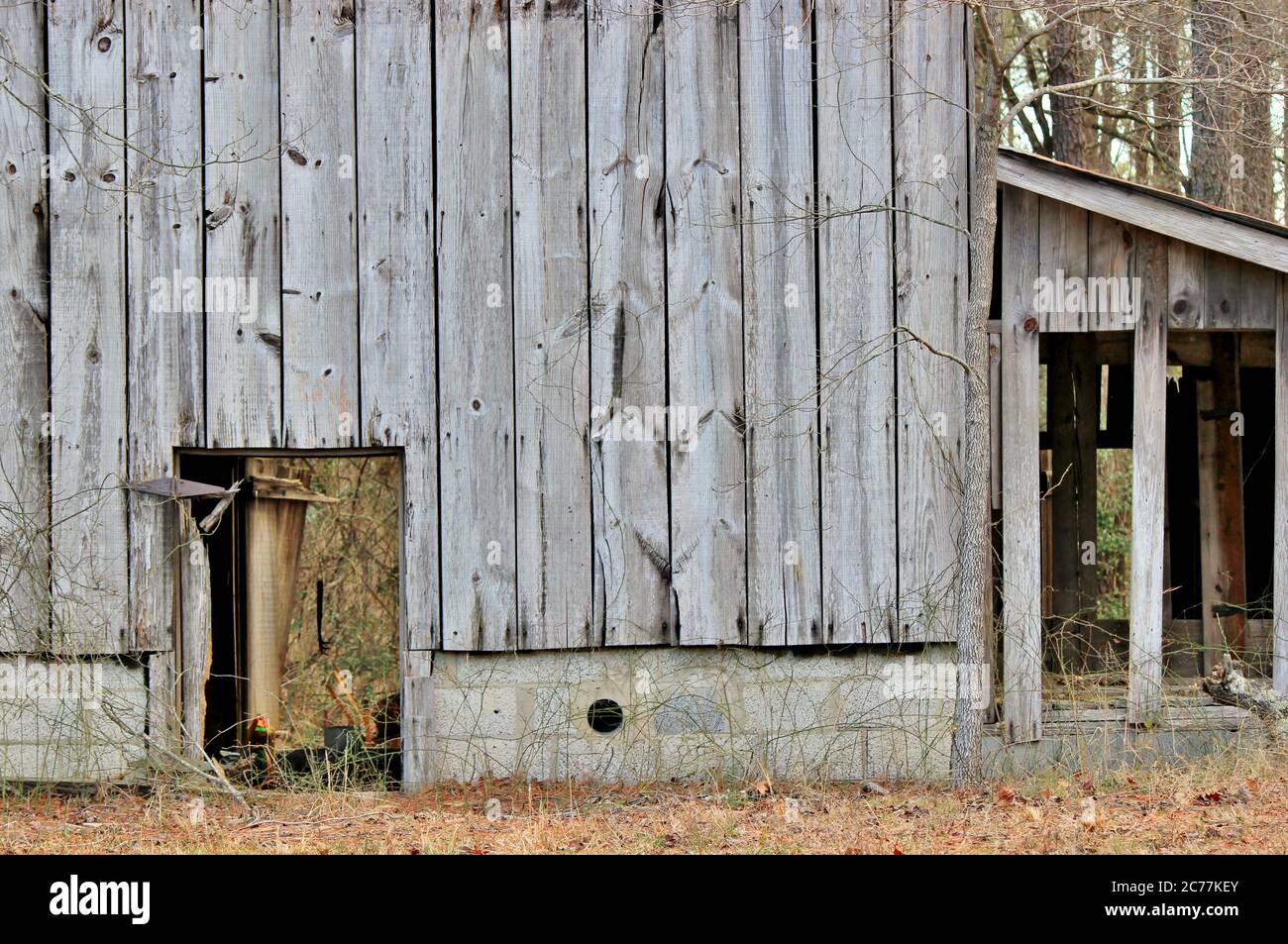 Old grey tobacco barn in rural setting Stock Photo - Alamy