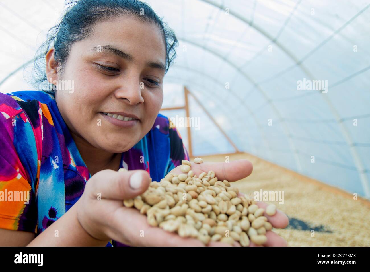 Solar Tunnel Dryer High Resolution Stock Photography and Images - Alamy