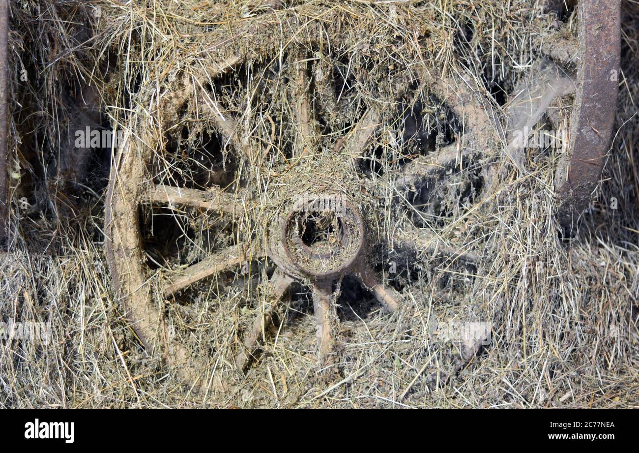 a wheel covered with dust and hay Stock Photo - Alamy
