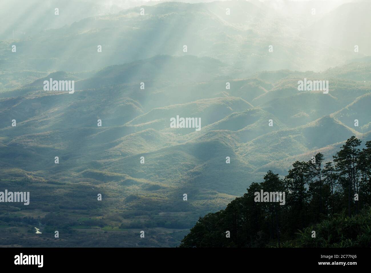 Diagonal sunrays hi-res stock photography and images - Alamy