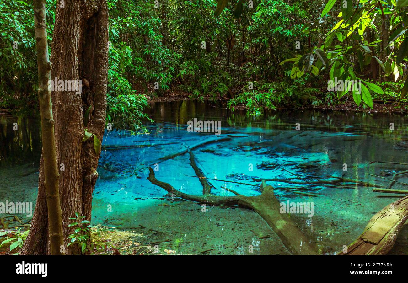 Krabi town Emerald pool, natural crystal blue water Stock Photo - Alamy