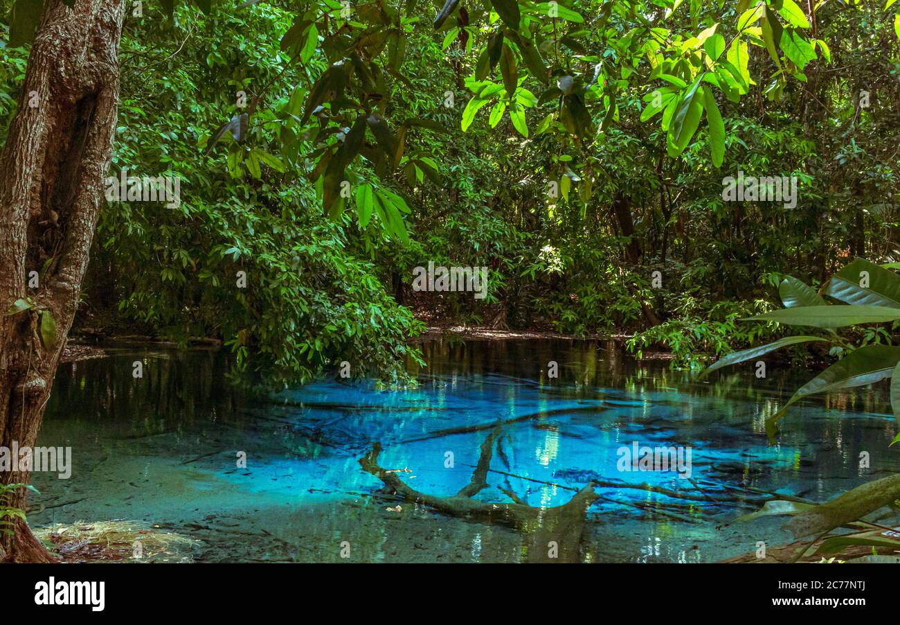 Krabi town Emerald pool, natural crystal blue water Stock Photo - Alamy