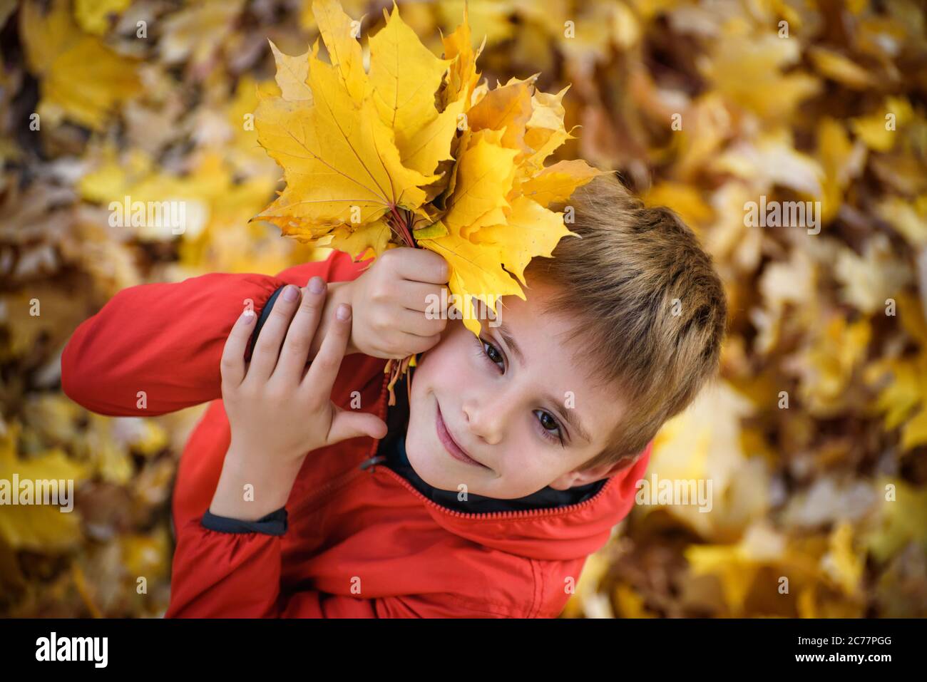 Cute boy with a bouquet of autumn leaves stands and looks up. Top view ...