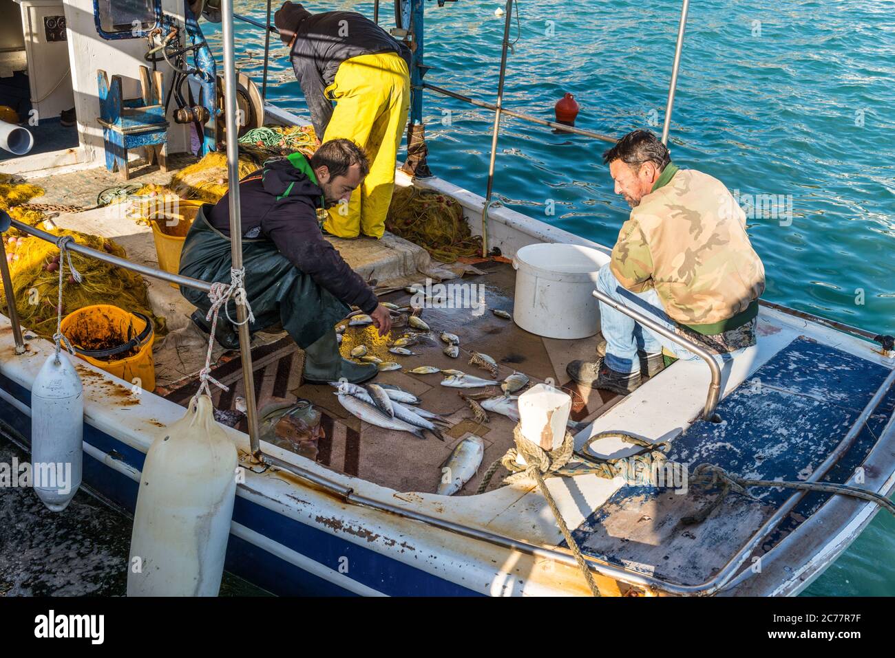 Katakolo, Greece - November 11, 2019: Greek fishermen sharing the catch ...