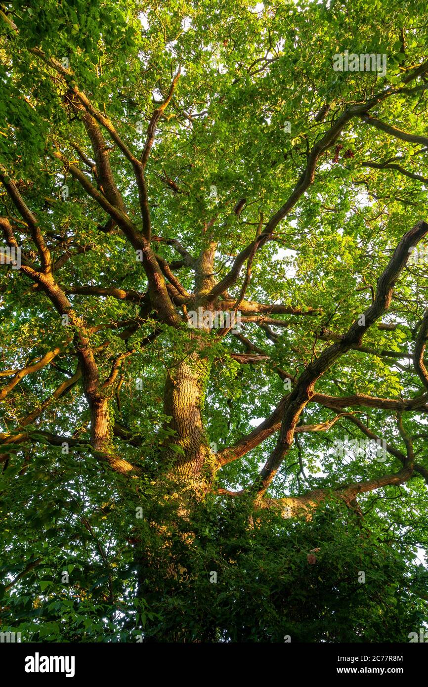 Cilcain hi-res stock photography and images - Alamy