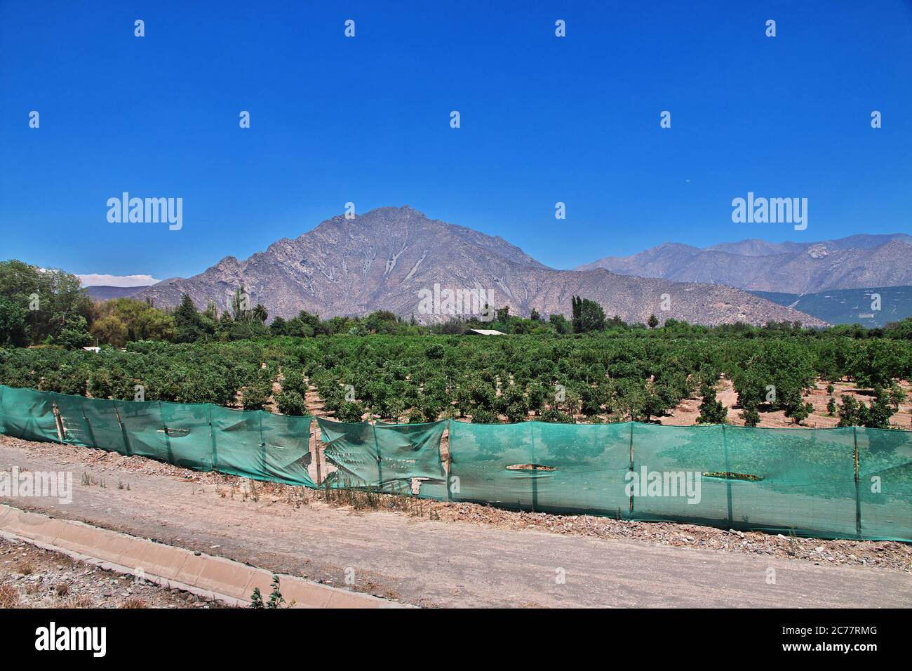 The view on vineyard garden in Andes, Chile Stock Photo - Alamy