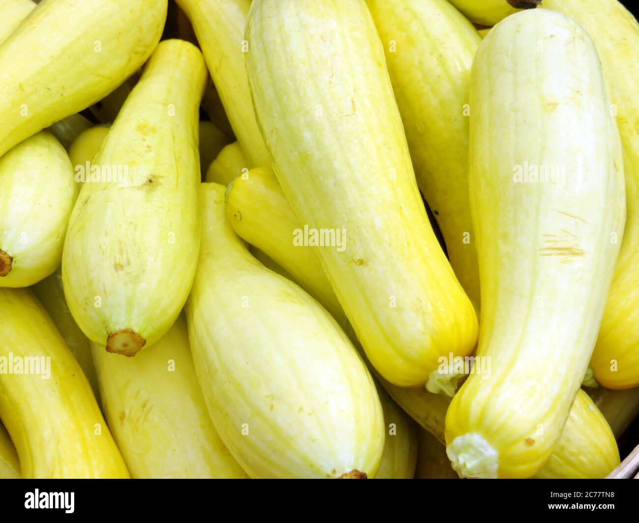 Ripe squash hi-res stock photography and images - Alamy