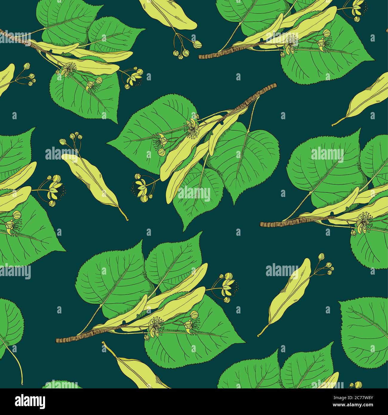 Seamless pattern with linden flowers and leaves. Vector illustration ...