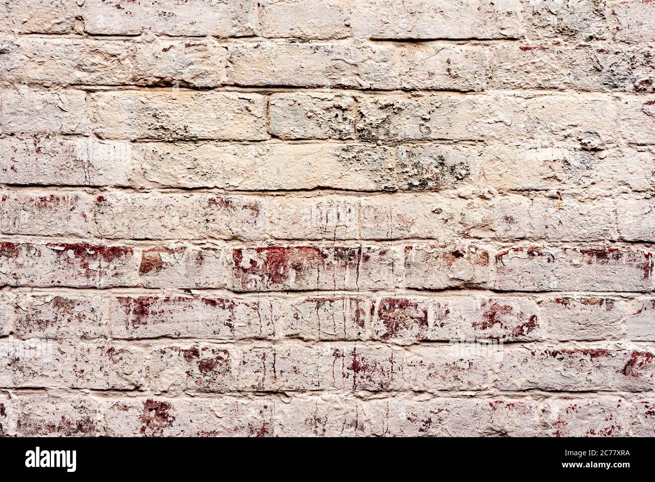 Texture, brick, wall, it can be used as a background. Brick texture ...