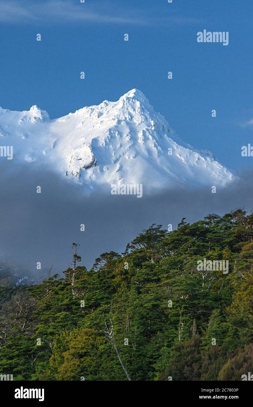 Mt Ruapehu volcano in the North island of New Zealand Stock Photo - Alamy