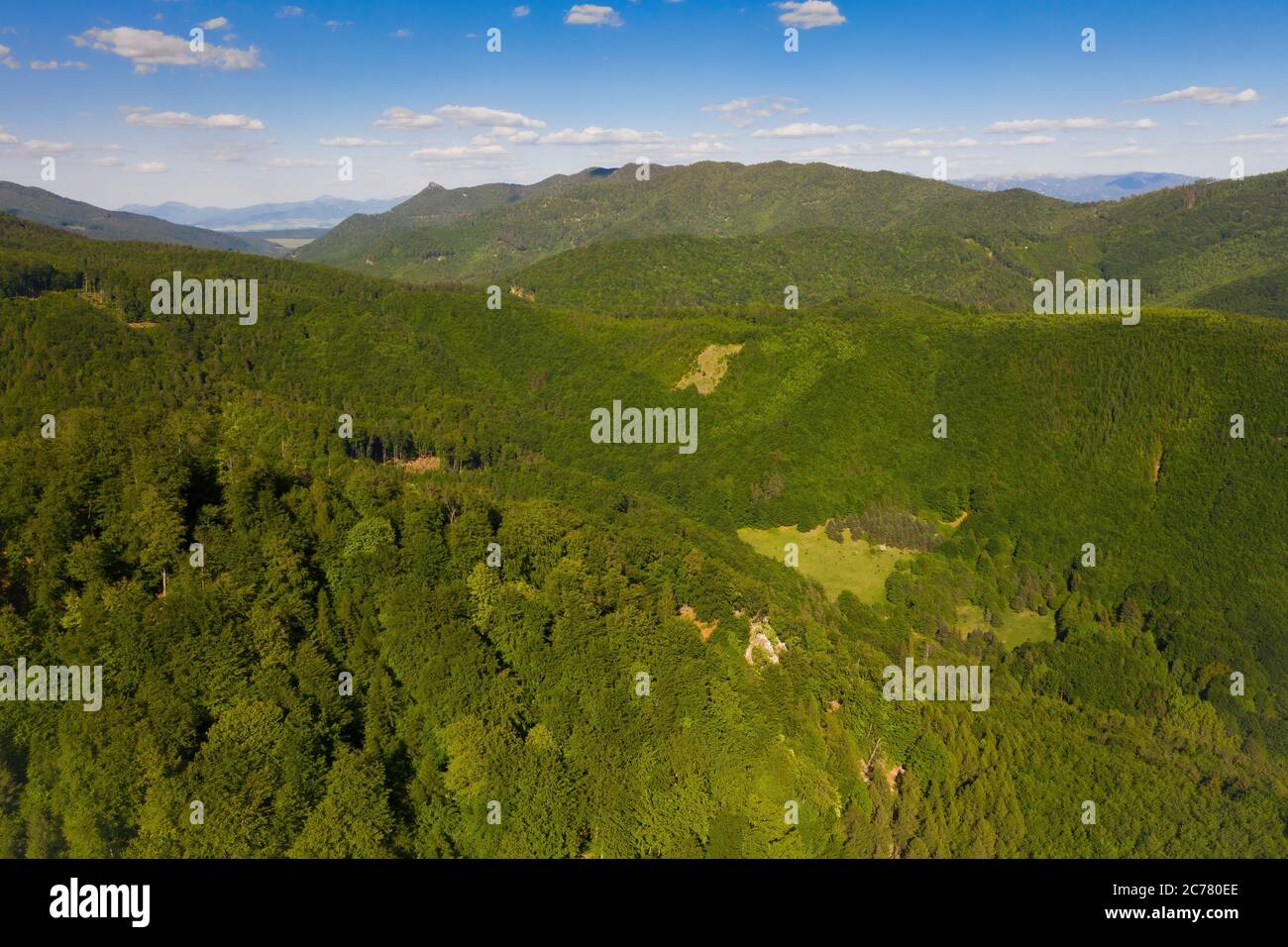 Forest Clearing Aerial View High Resolution Stock Photography and ...