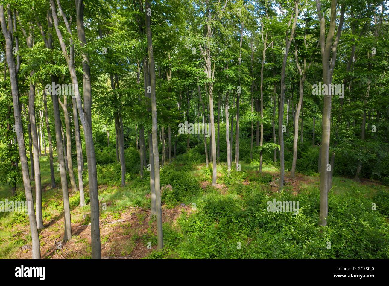 High view hi-res stock photography and images - Alamy