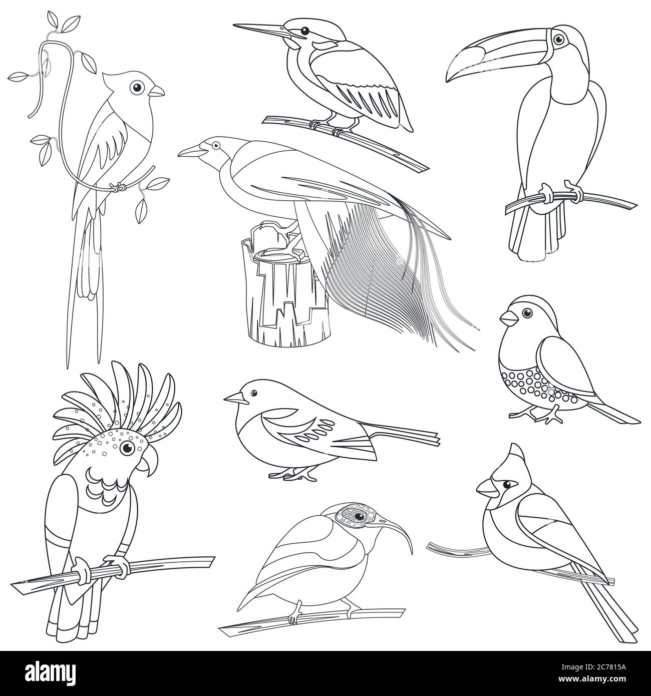 Tropical Bird Line Art