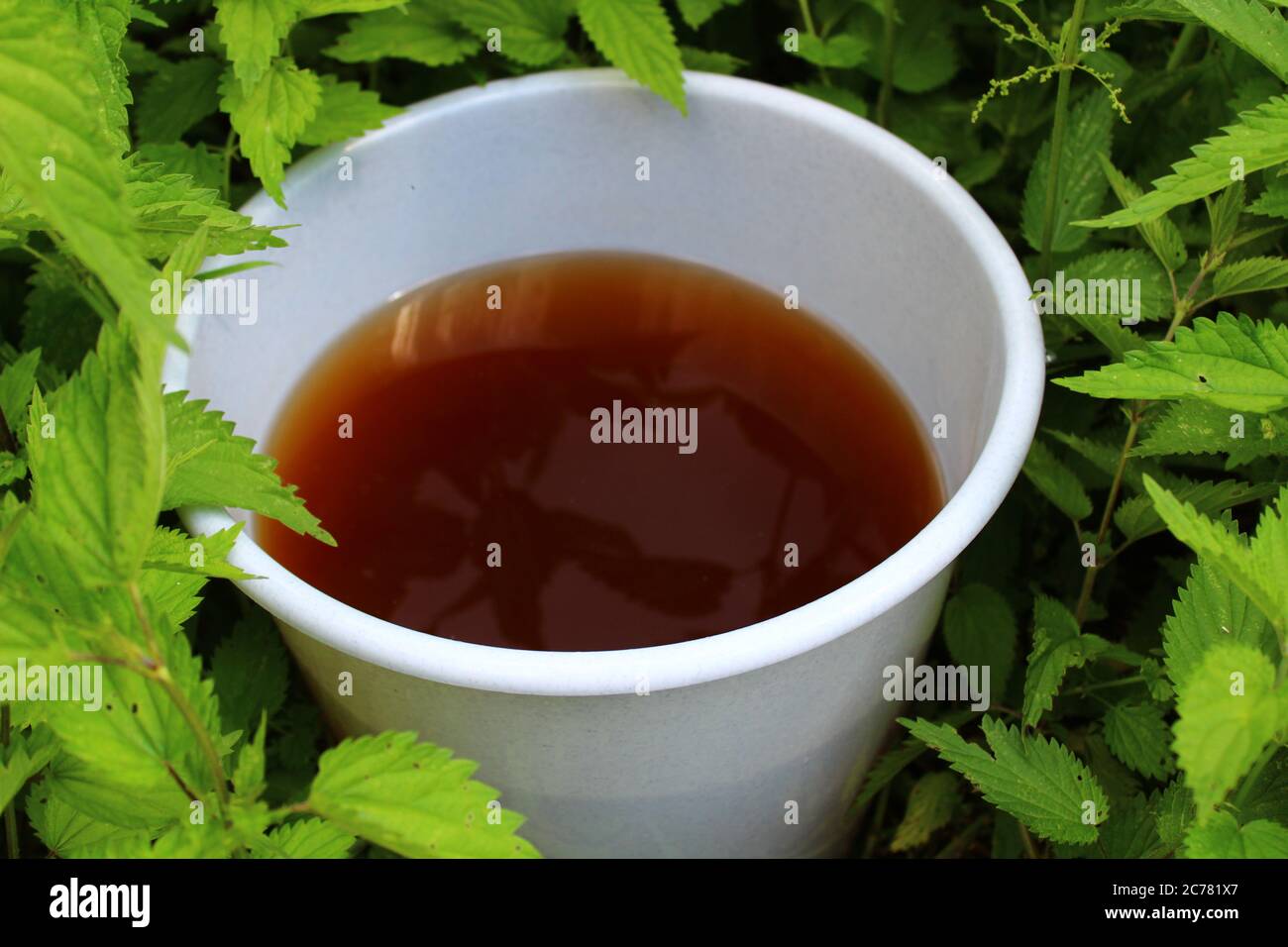 The picture shows liquid manure from stinging nettles in a stinging ...