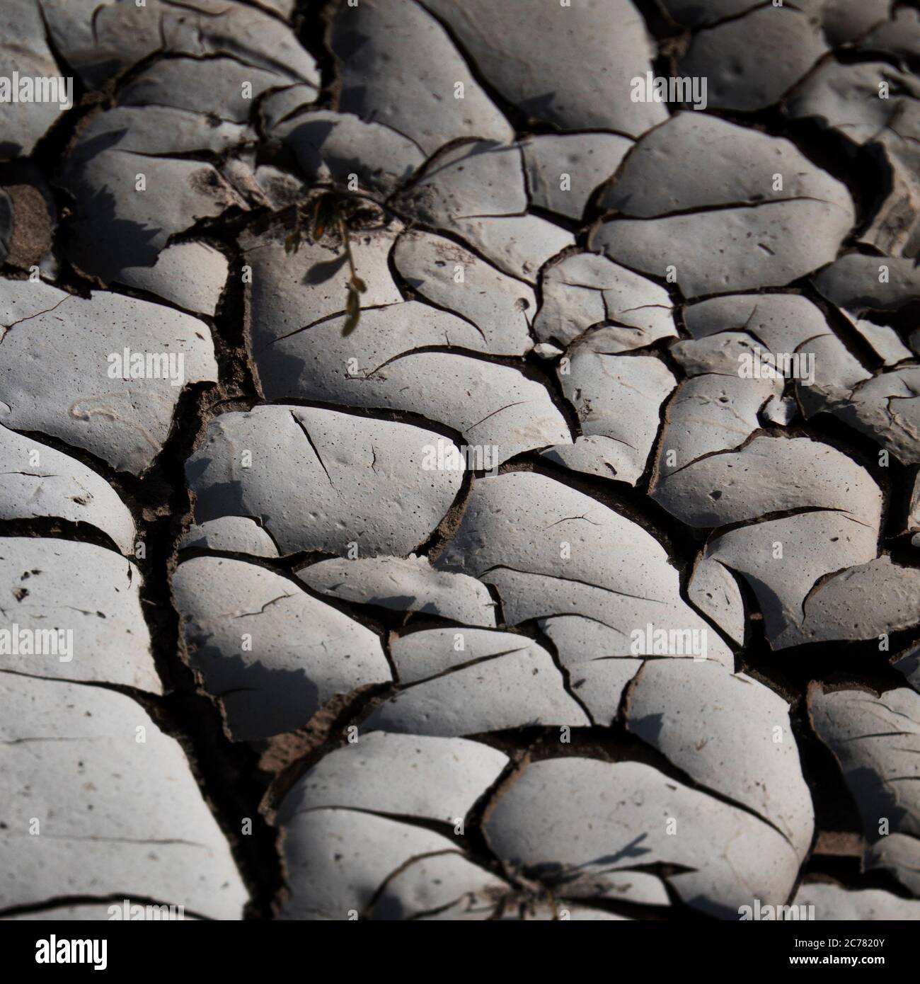 Grey cracked soil background. Soil texture. Grunge soil background ...